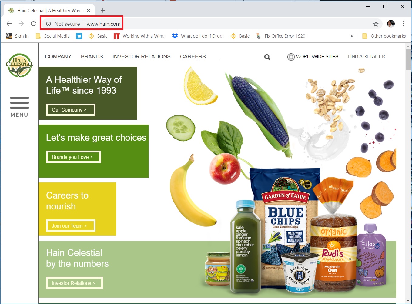 CPG Digital Marketing: Spotlight on Hain Celestial